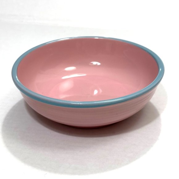 Rio Stoneware | Dining | Set Of 4 Rio Stoneware Pink Blue Trim Soup ...